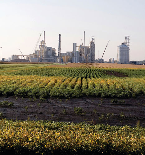 Oil-Dri Corporation - Creating Value From Sorbent Minerals